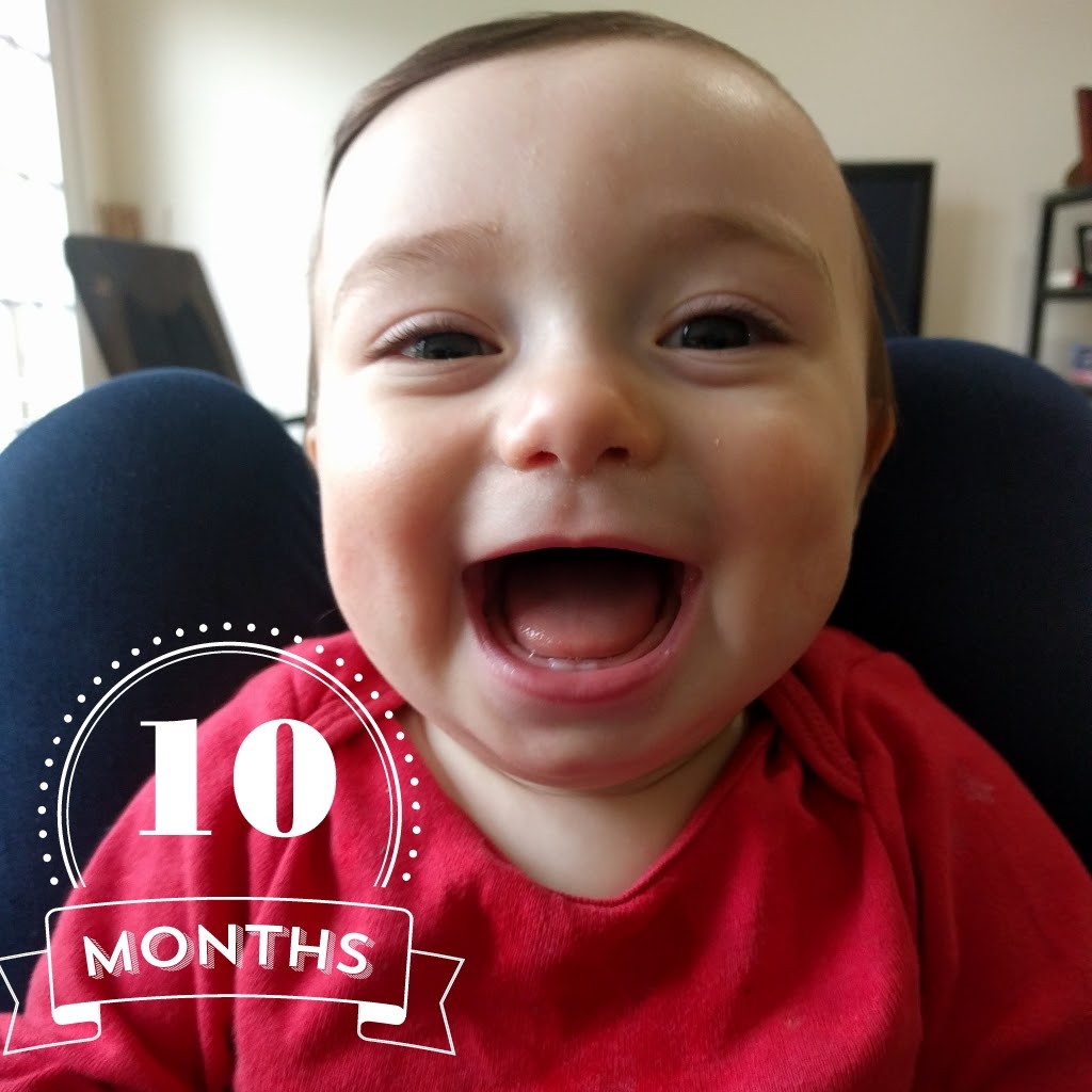 Baby Recap: Ten Months Old – Wholesome Homebody